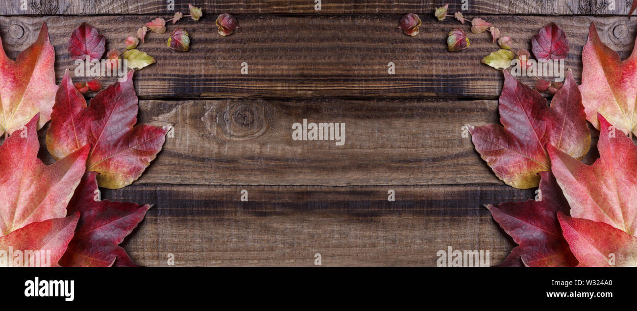 Autumn leaves over dark wooden vintage background with copy space Stock ...