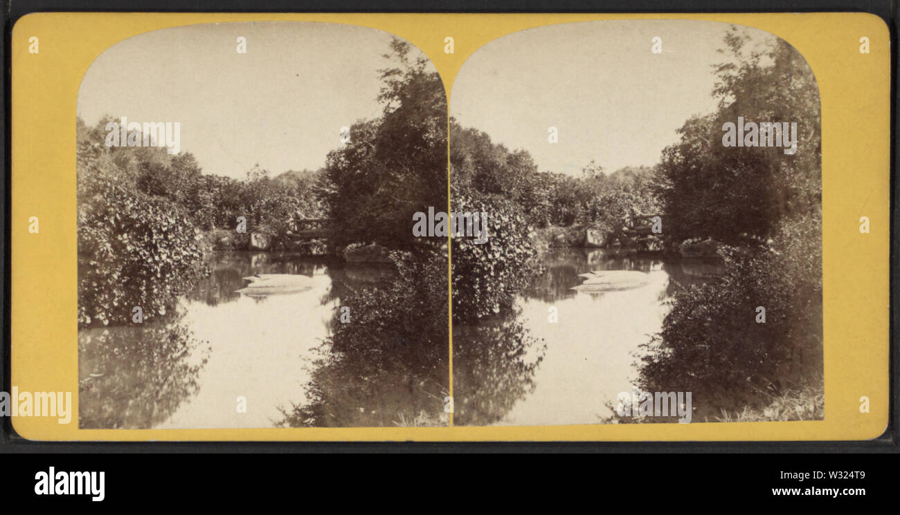 Scene on the Brook, (Upper Park), from Robert N Dennis collection of ...