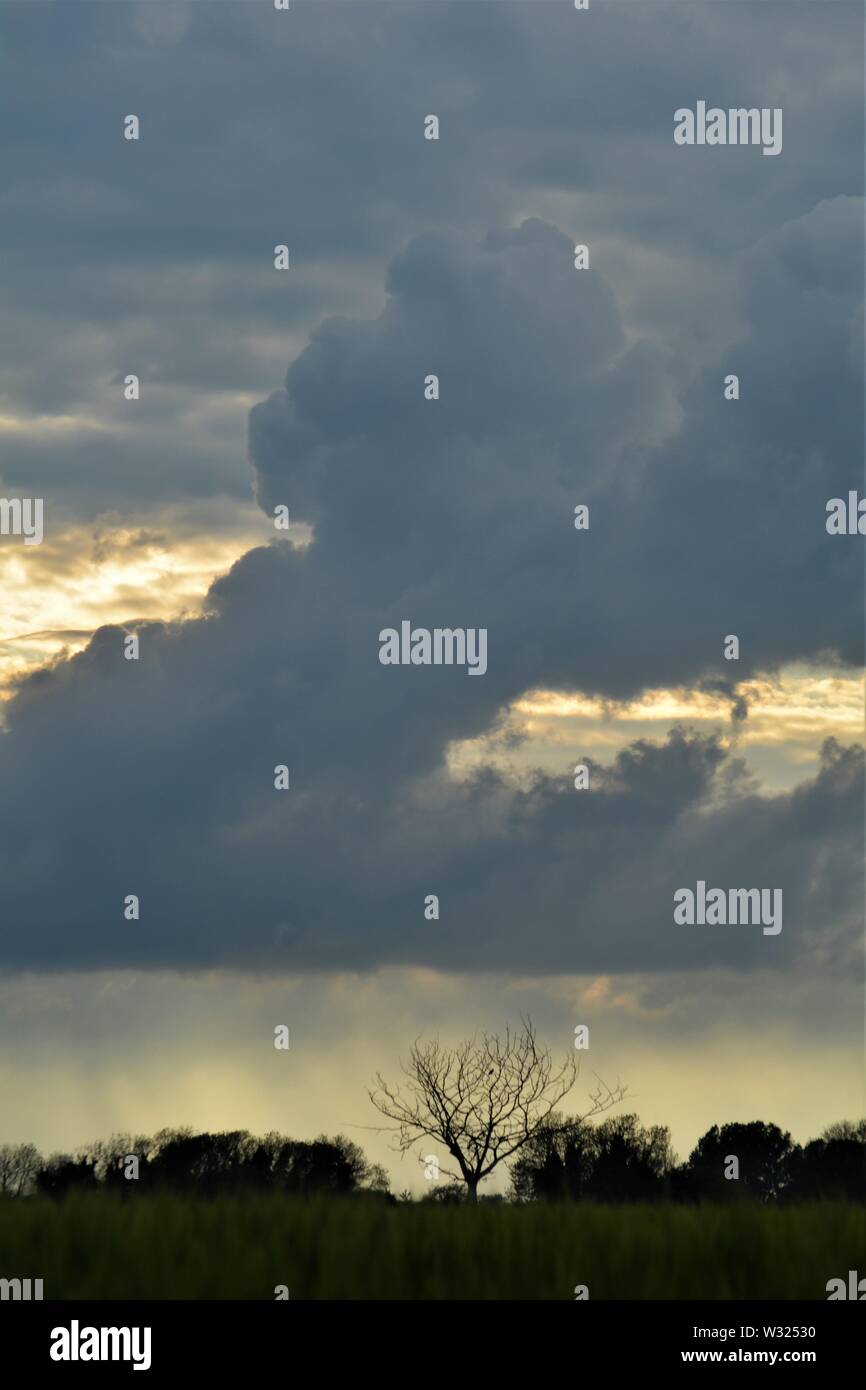 cloudy evening sky with mix of clouds and subtle lighting Stock Photo ...