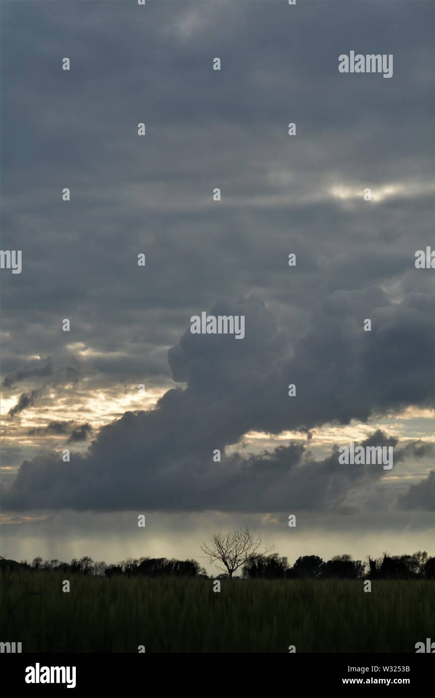 cloudy evening sky with mix of clouds and subtle lighting Stock Photo ...