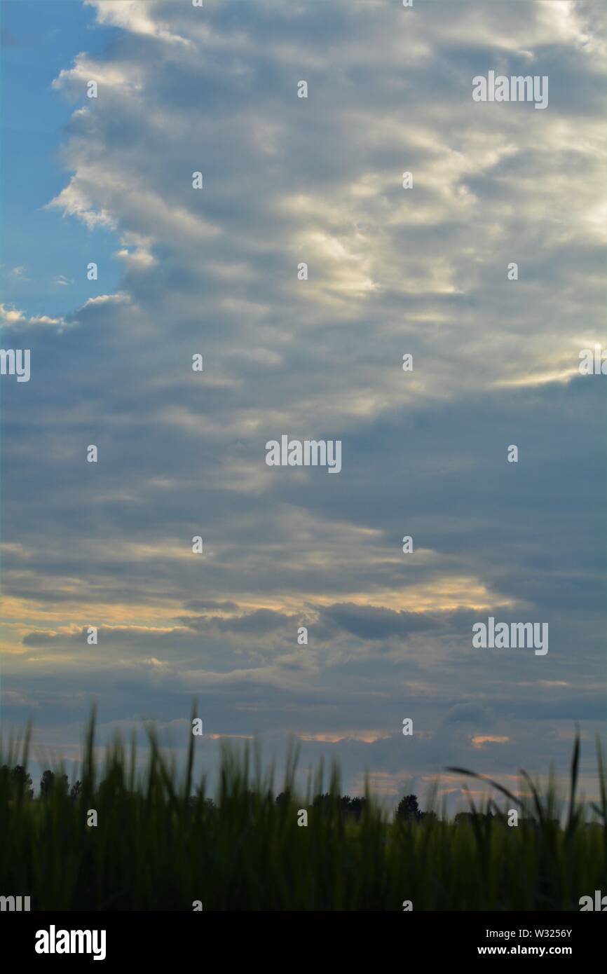 cloudy evening sky with mix of clouds and subtle lighting Stock Photo ...