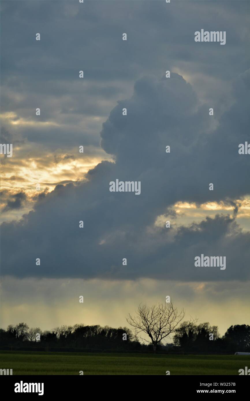 cloudy evening sky with mix of clouds and subtle lighting Stock Photo ...