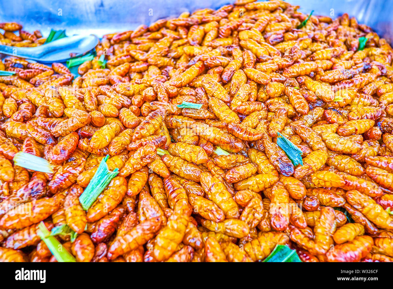 Bug Snack High Resolution Stock Photography and Images - Alamy