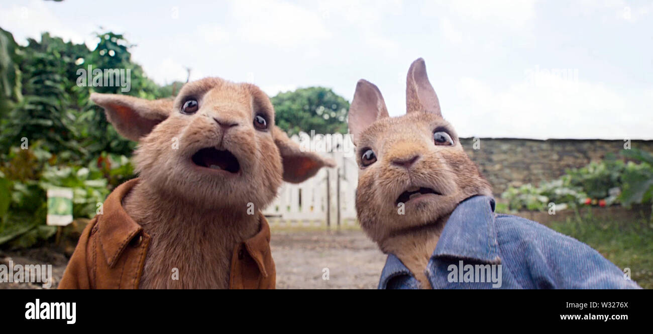 USA. A scene from ©Columbia Pictures new movie: Peter Rabbit (2018 ...