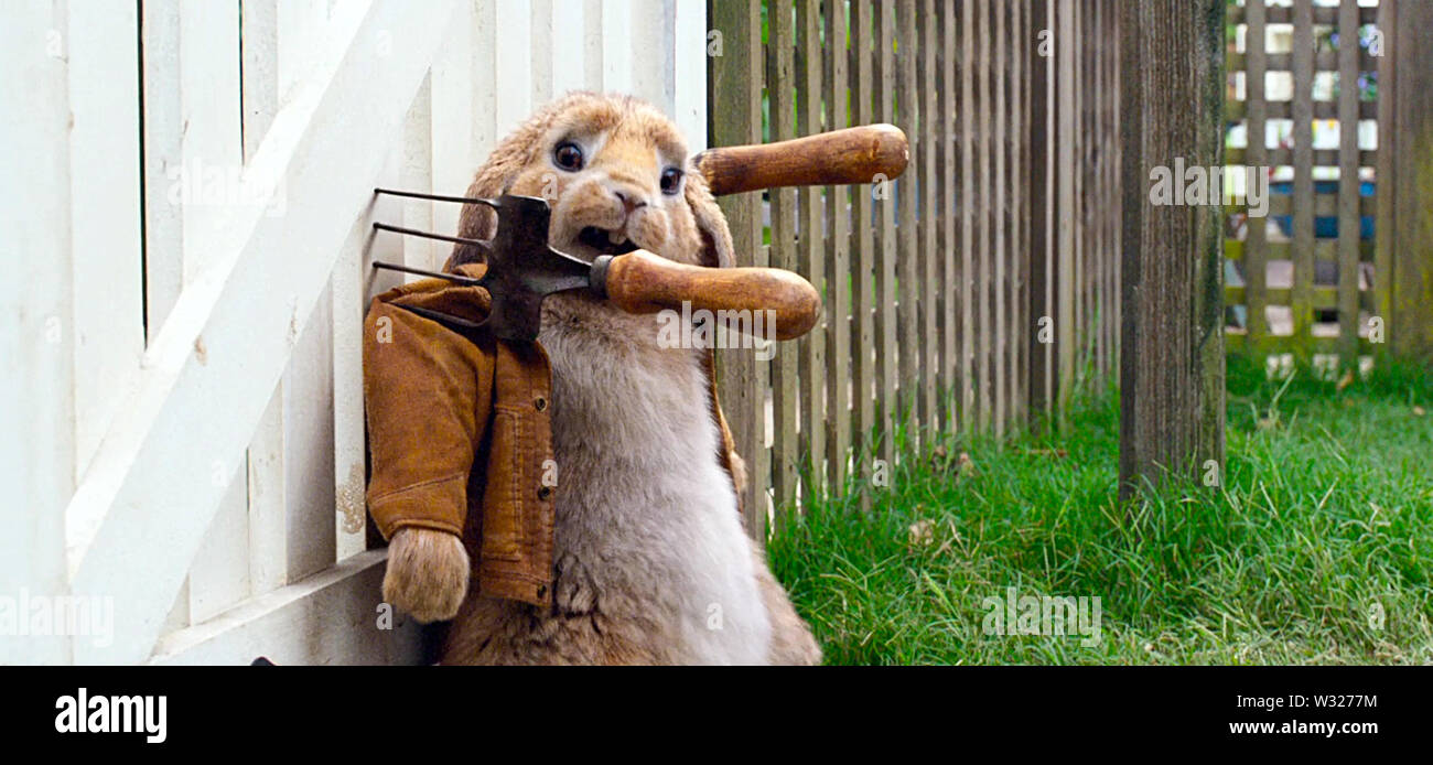 USA. A scene from ©Columbia Pictures new movie: Peter Rabbit (2018 ...