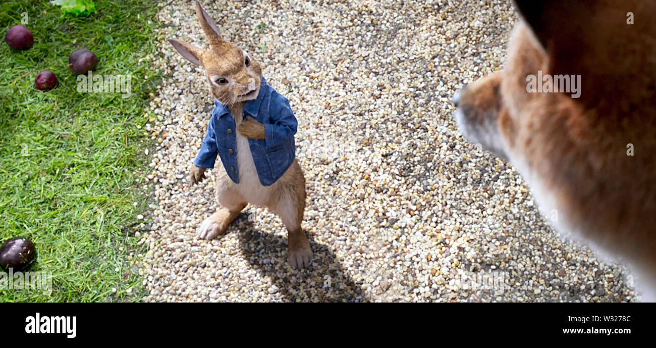 USA. A scene from ©Columbia Pictures new movie: Peter Rabbit (2018 ...