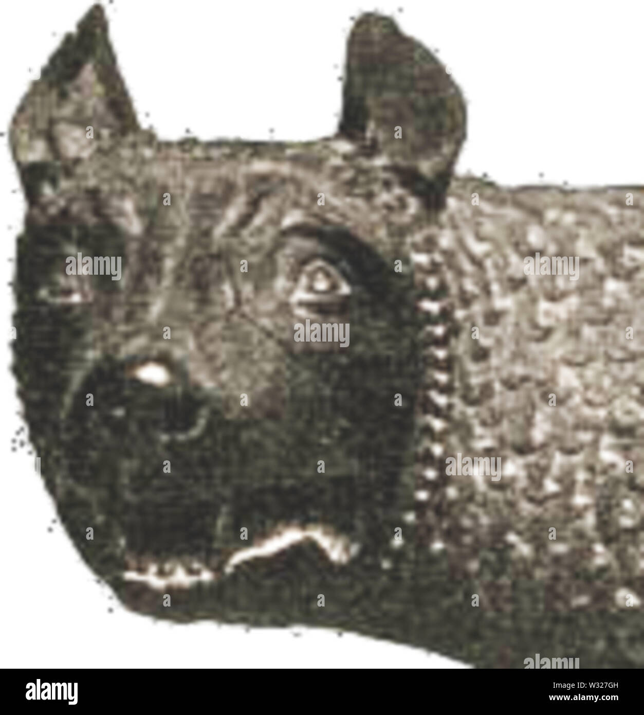 She-wolf suckles Romulus and Remus head Stock Photo - Alamy