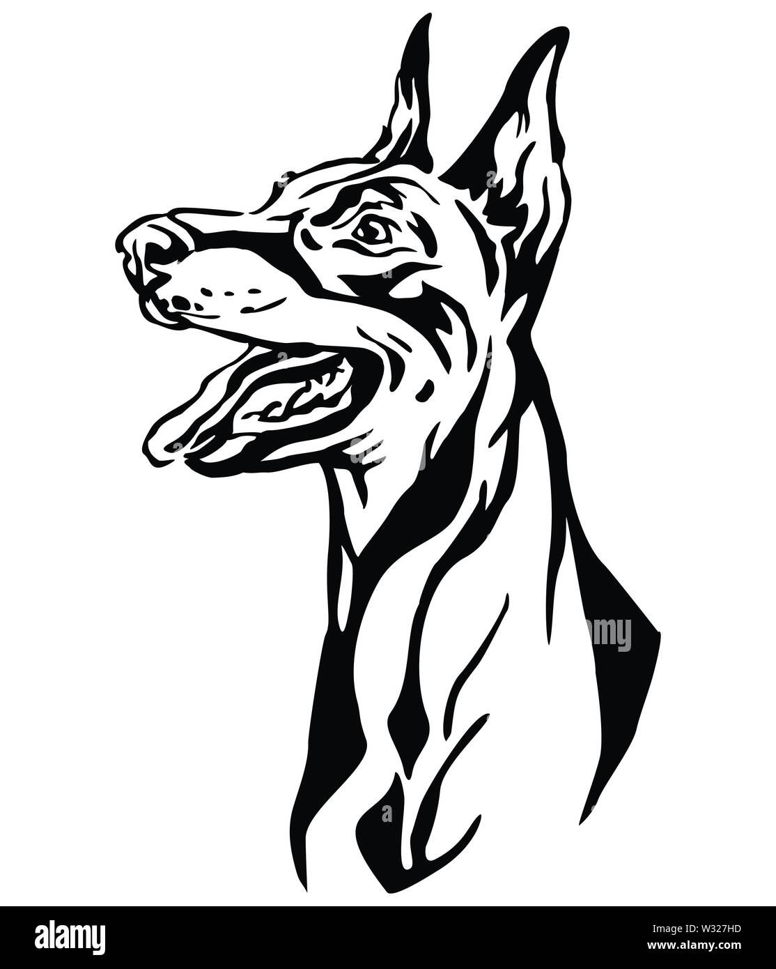 Decorative outline portrait of Dog Dobermann looking in profile, vector ...