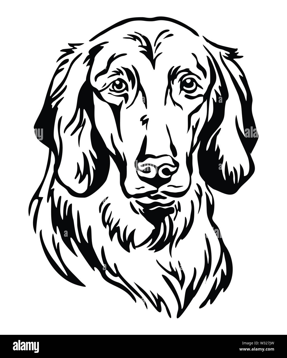 Decorative outline portrait of Dog Longhaired Weimaraner, vector ...