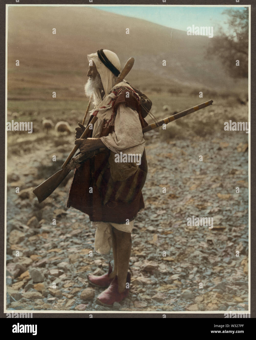 Arab shepherds israel hi-res stock photography and images - Alamy