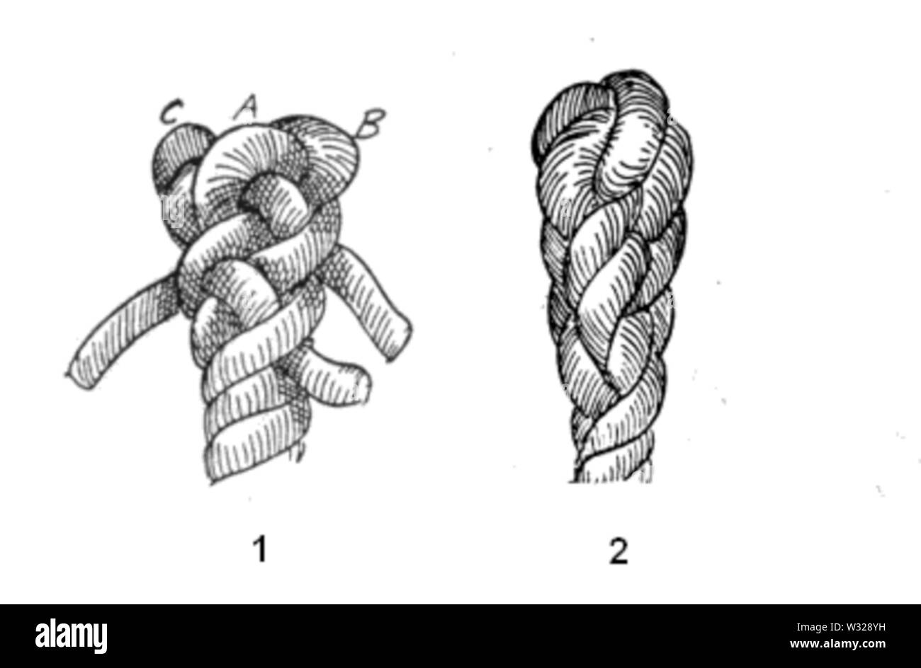 Single process Cut Out Stock Images & Pictures - Alamy