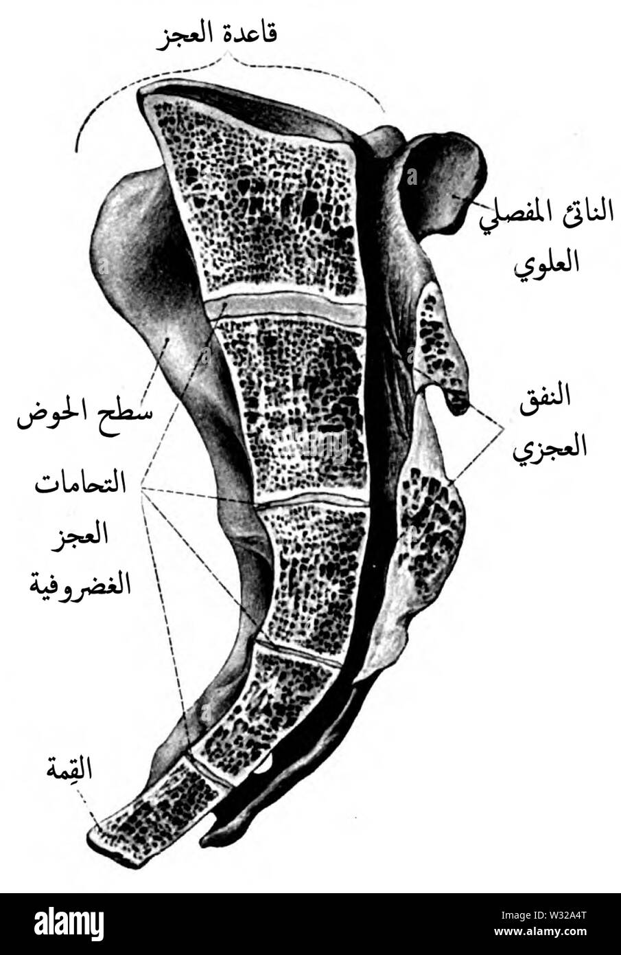 Numbered 17 Cut Out Stock Images & Pictures - Alamy