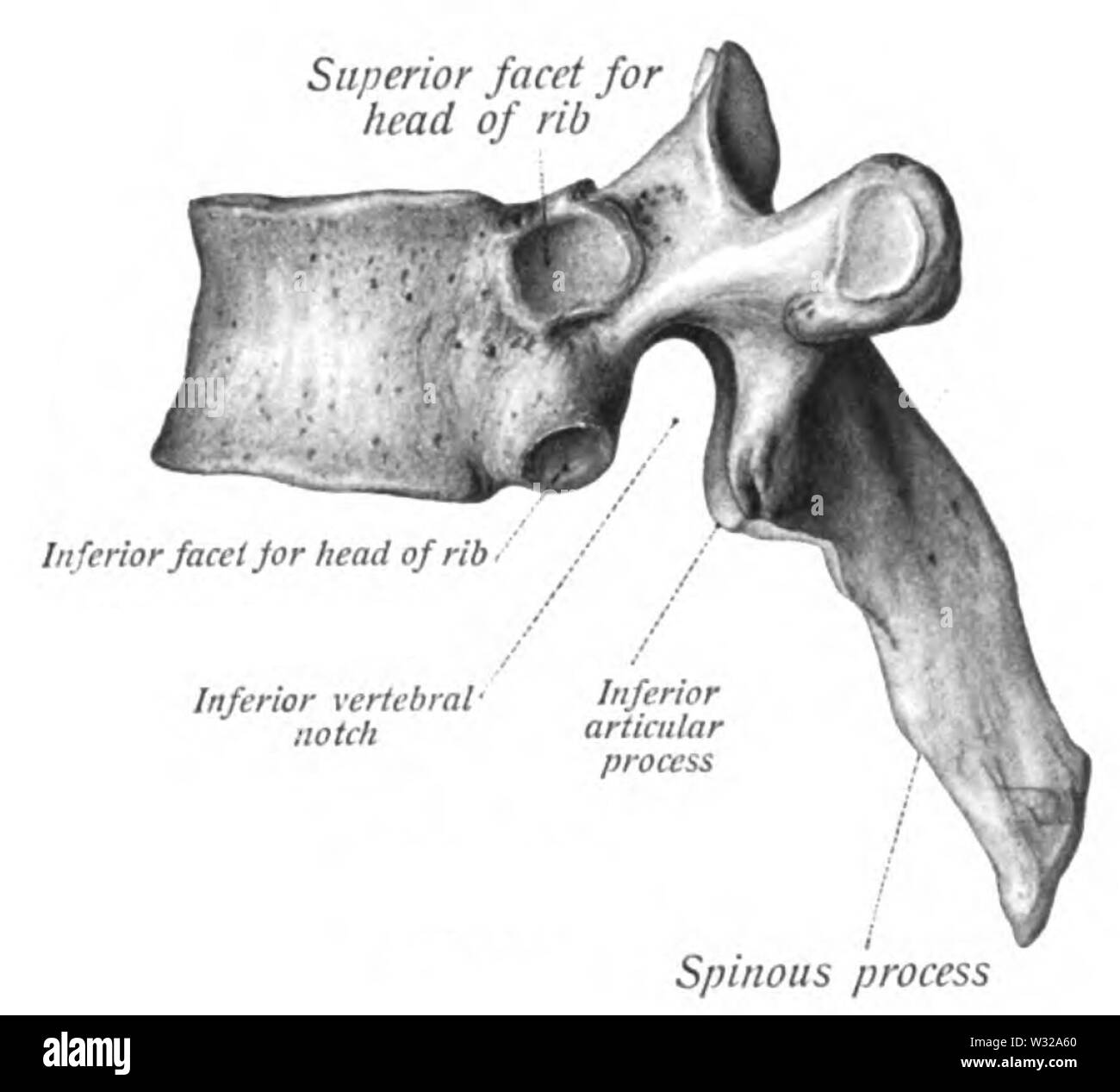 1909 11 hi-res stock photography and images - Alamy