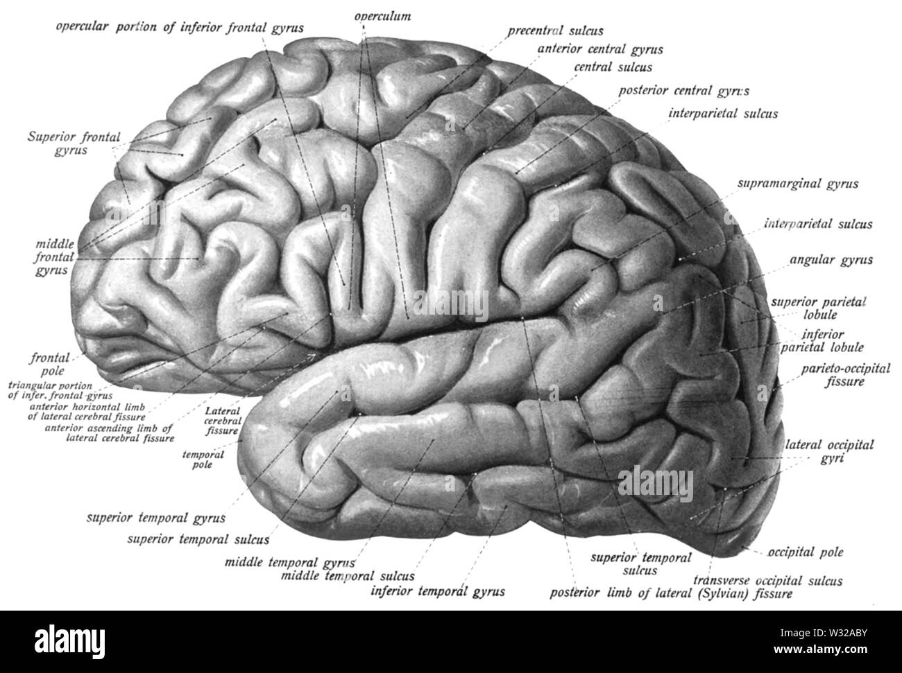 Sobo 1909 626 Stock Photo - Alamy