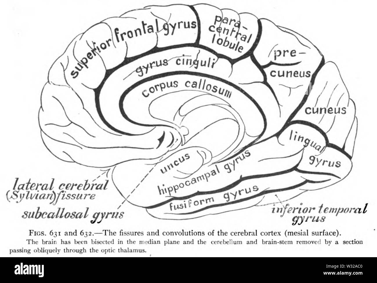 Elevation date Cut Out Stock Images & Pictures - Alamy