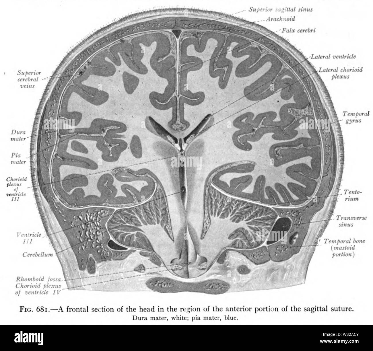 681 миноносец стерегущий Black and White Stock Photos & Images - Alamy