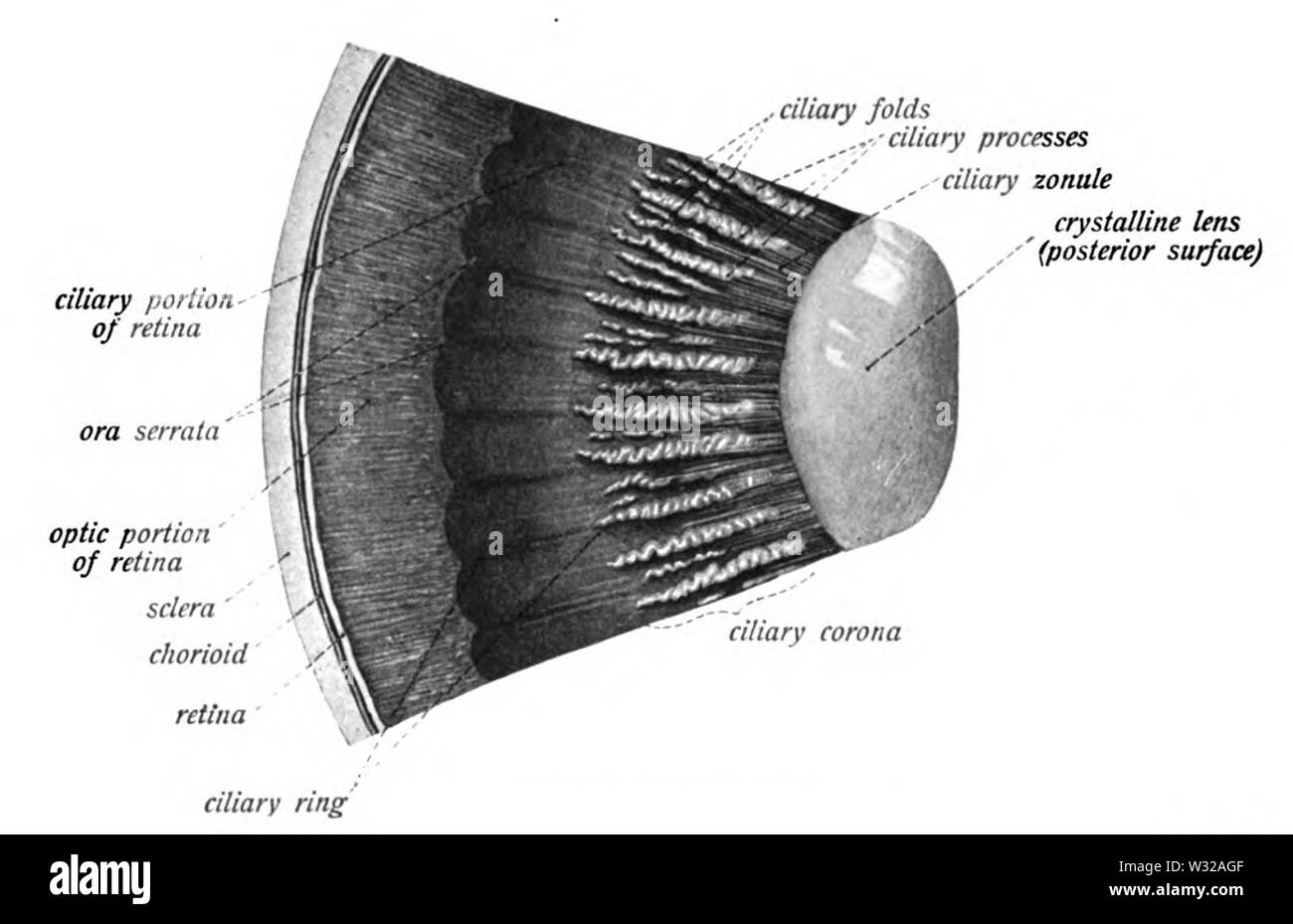 Natural geographical feature Black and White Stock Photos & Images - Alamy