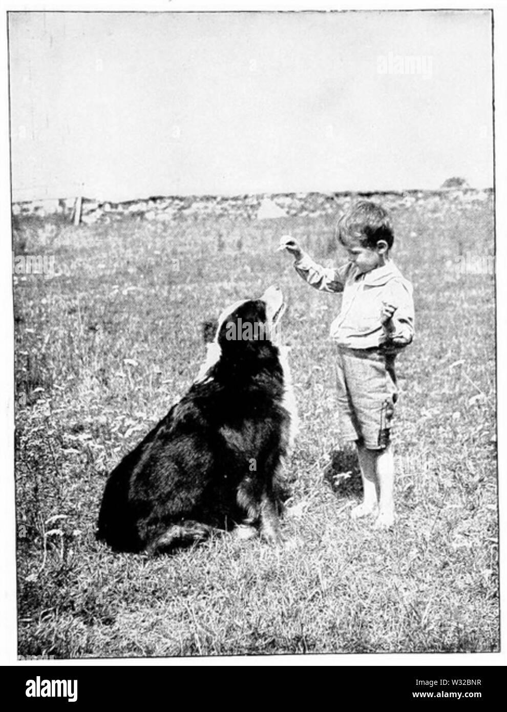 Dialogue speak Black and White Stock Photos & Images - Alamy