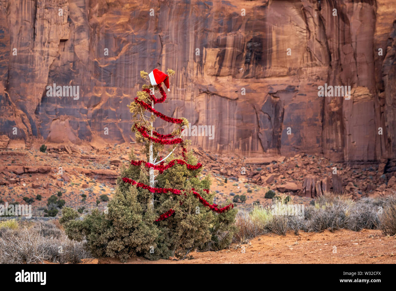 Christmas tree arizona hi-res stock photography and images - Alamy