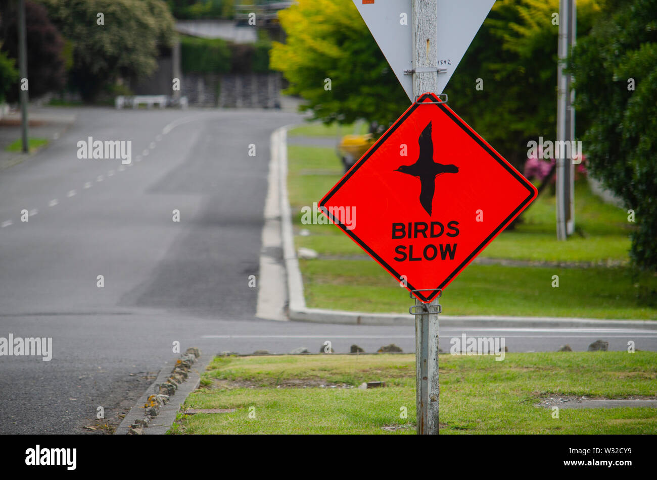Do not feed the birds sign hi-res stock photography and images - Alamy
