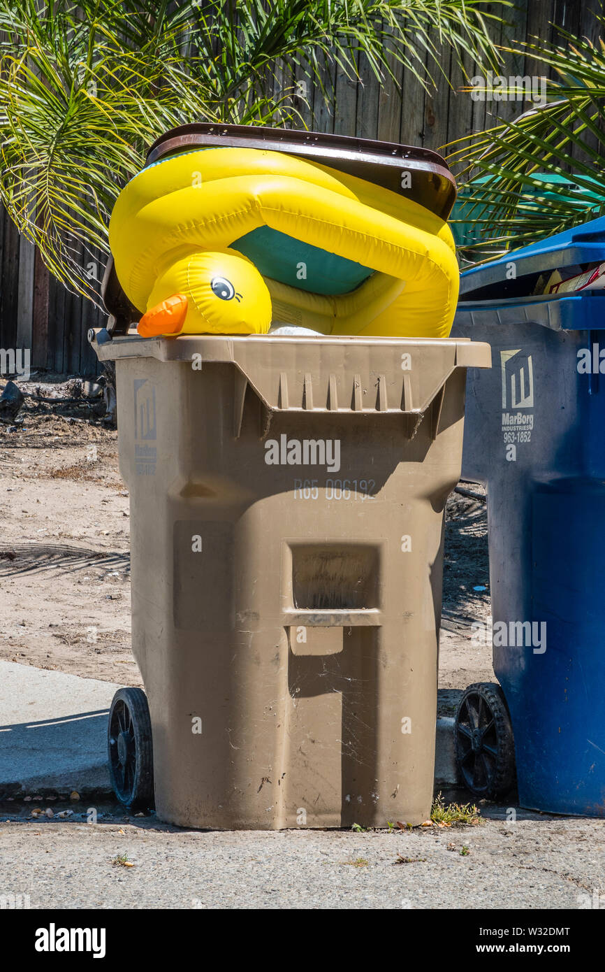 A yellow vinyl rubber ducky sticky out of a trash container in Santa ...