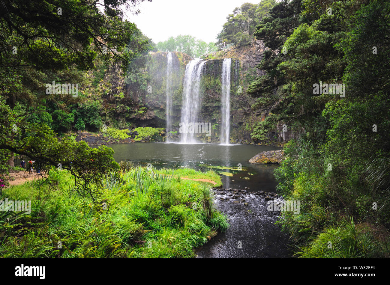 Whangarei new zealand hi-res stock photography and images - Alamy