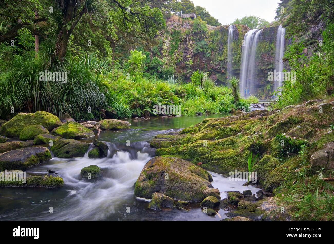 Whangarei new zealand hi-res stock photography and images - Alamy