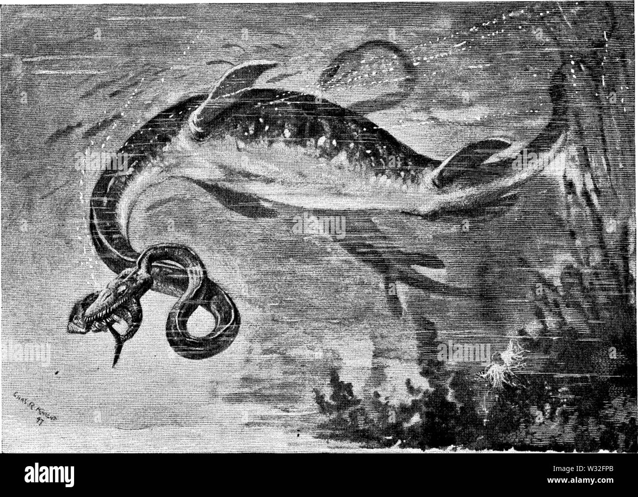 Strange creatures hi-res stock photography and images - Alamy