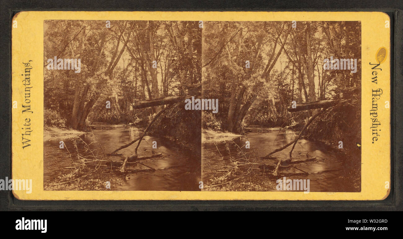 Summer ramble, from Robert N Dennis collection of stereoscopic views ...