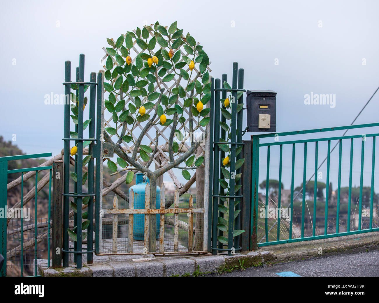 door entrance made of decorative iron work in the design of a lemon ...