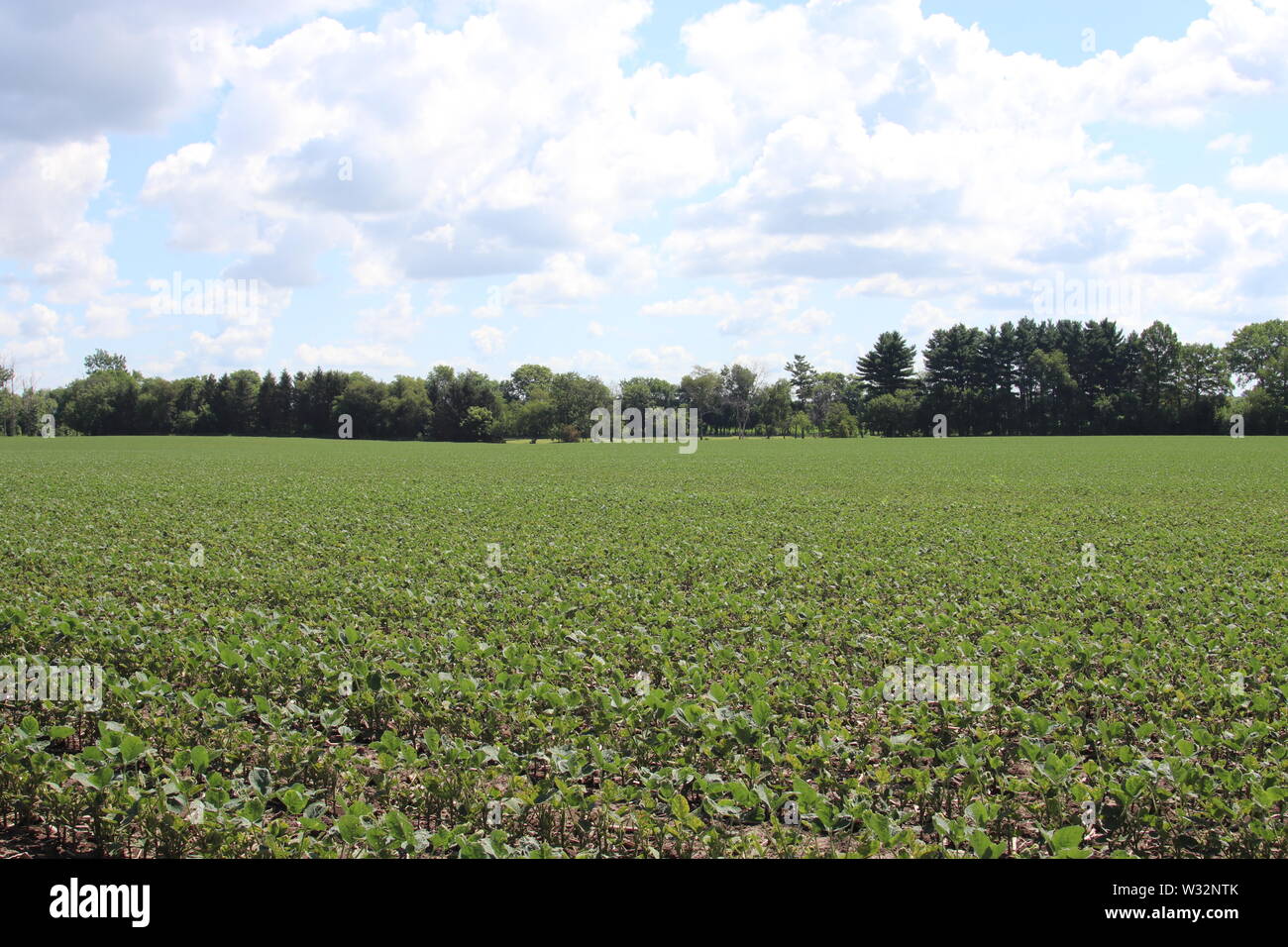 Farming in Illinois Stock Photo - Alamy