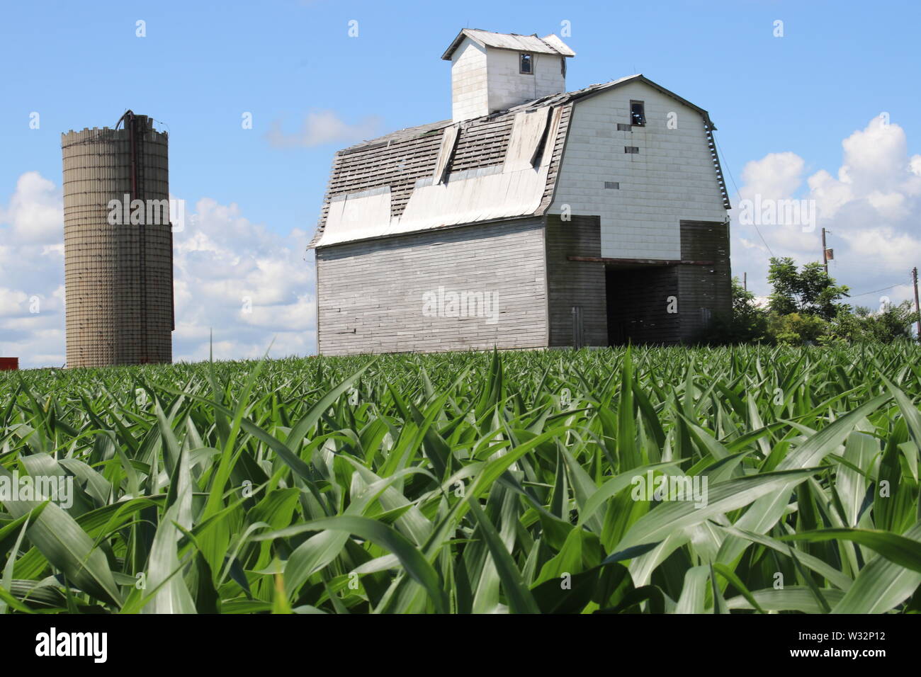 Barn and Silo Stock Photo - Alamy