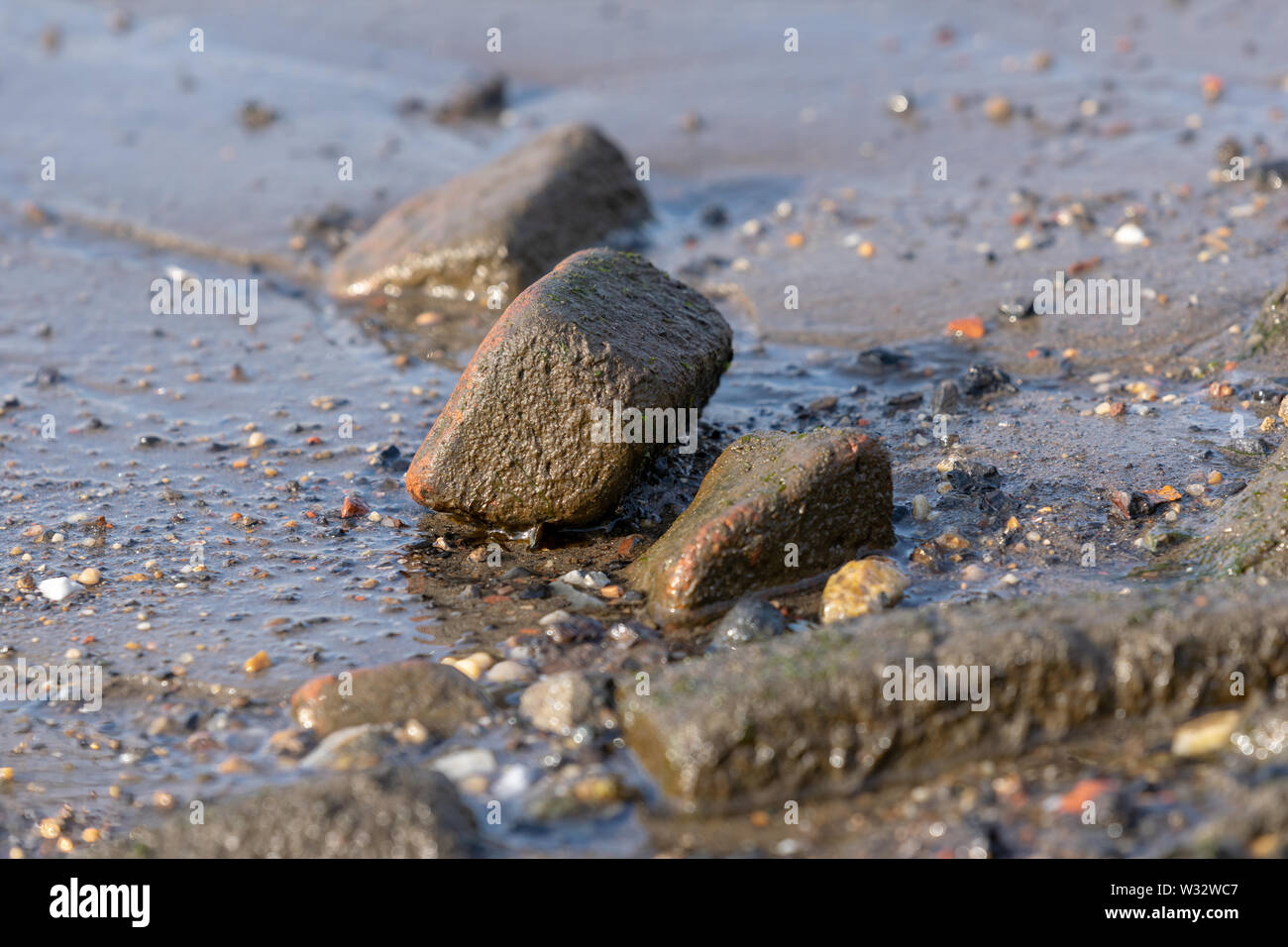 Rocks scattered along the muddy shoreline of a river Stock Photo - Alamy