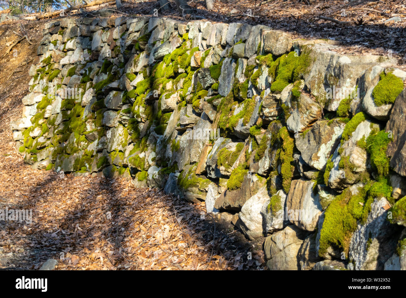 Moss Covered Stones High Resolution Stock Photography and Images - Alamy