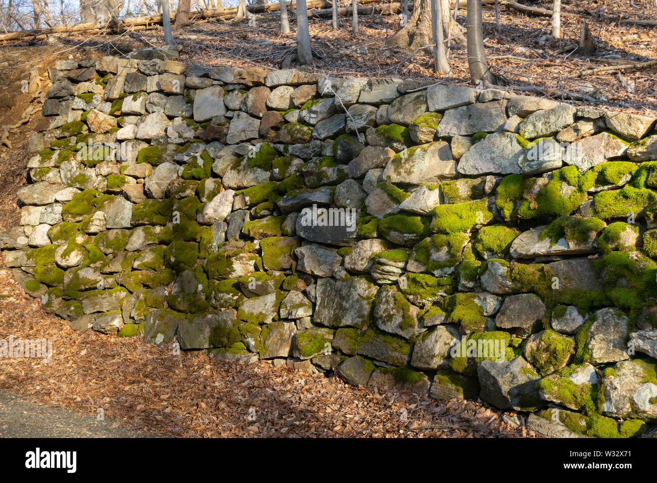 Ancient wall made of moss-covered stones alongside a small forest path ...