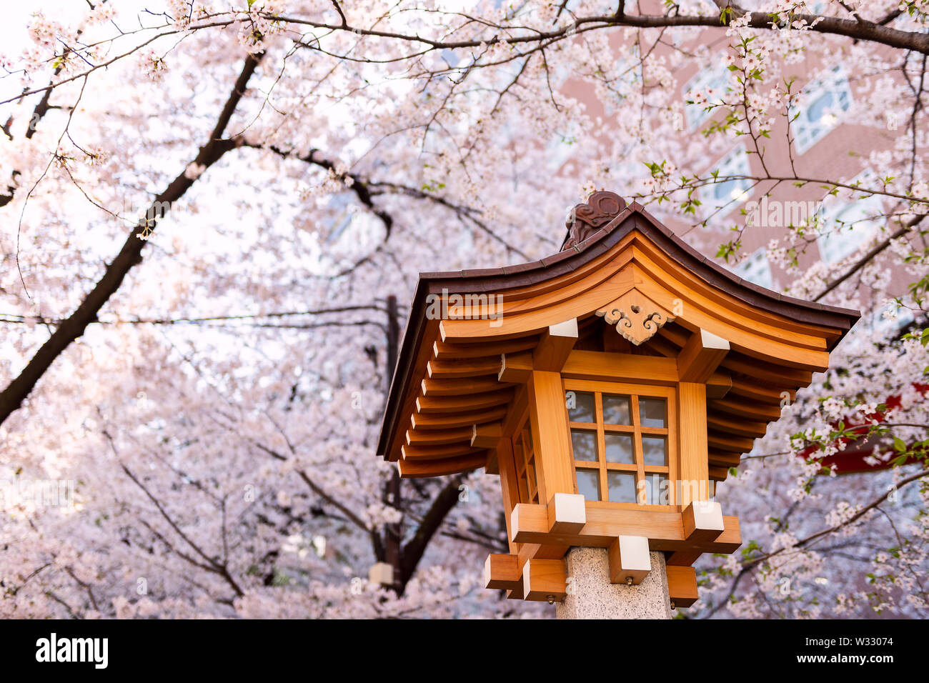 Hanazono Shrine in Shinjuku ward, Tokyo, Japan with inari temple with ...