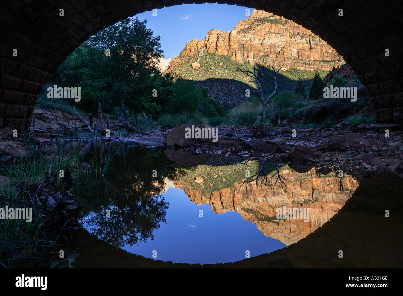In zion national park hi-res stock photography and images - Alamy