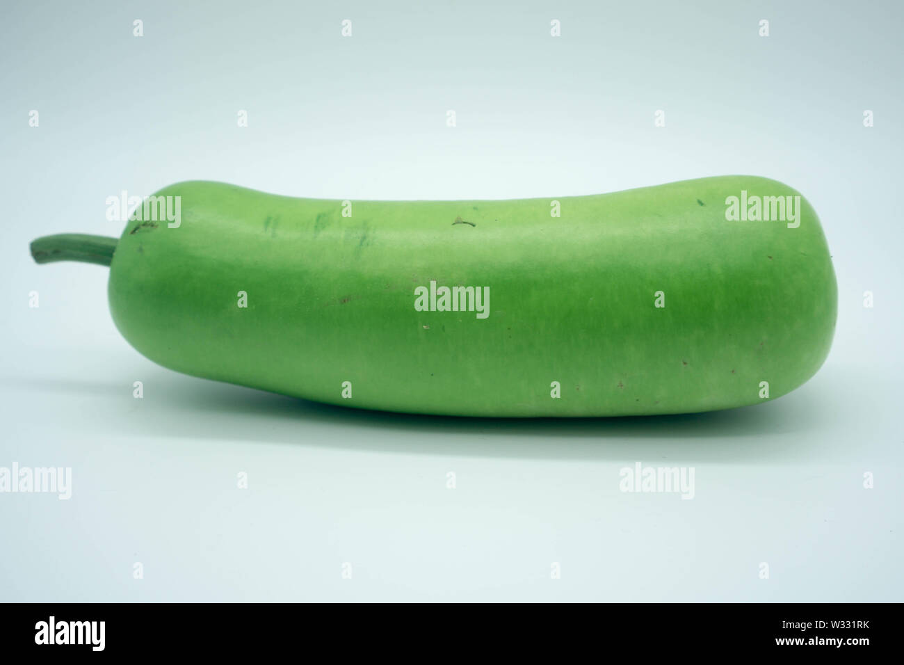 single green squash laying white background Stock Photo - Alamy