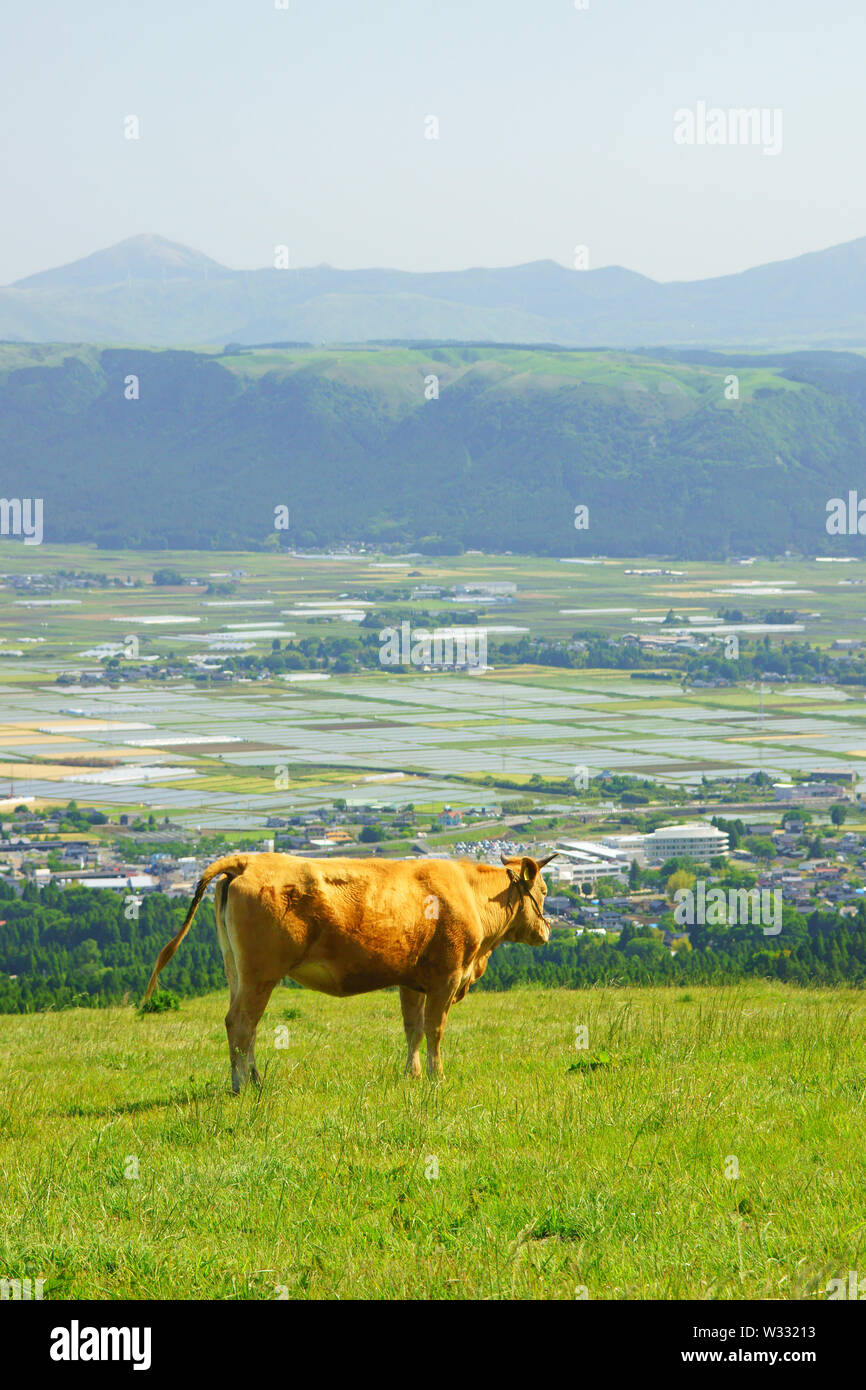 Ranch in Aso, Kumamoto Prefecture, Japan Stock Photo - Alamy