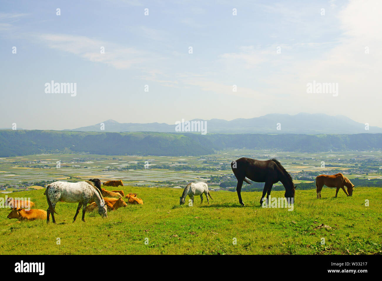 Ranch in Aso, Kumamoto Prefecture, Japan Stock Photo - Alamy