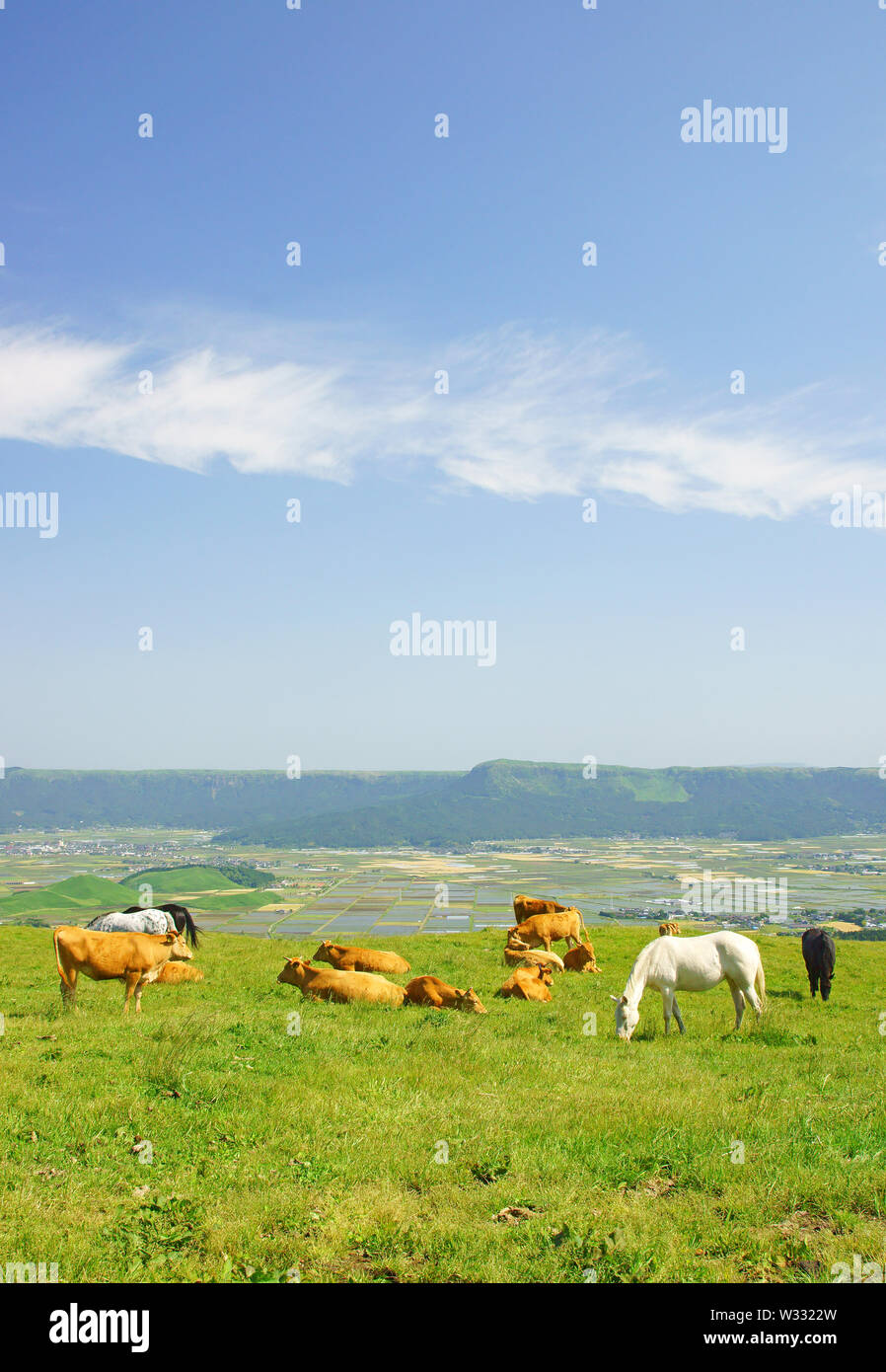 Ranch in Aso, Kumamoto Prefecture, Japan Stock Photo - Alamy