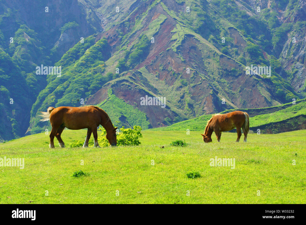 Ranch in Aso, Kumamoto Prefecture, Japan Stock Photo - Alamy
