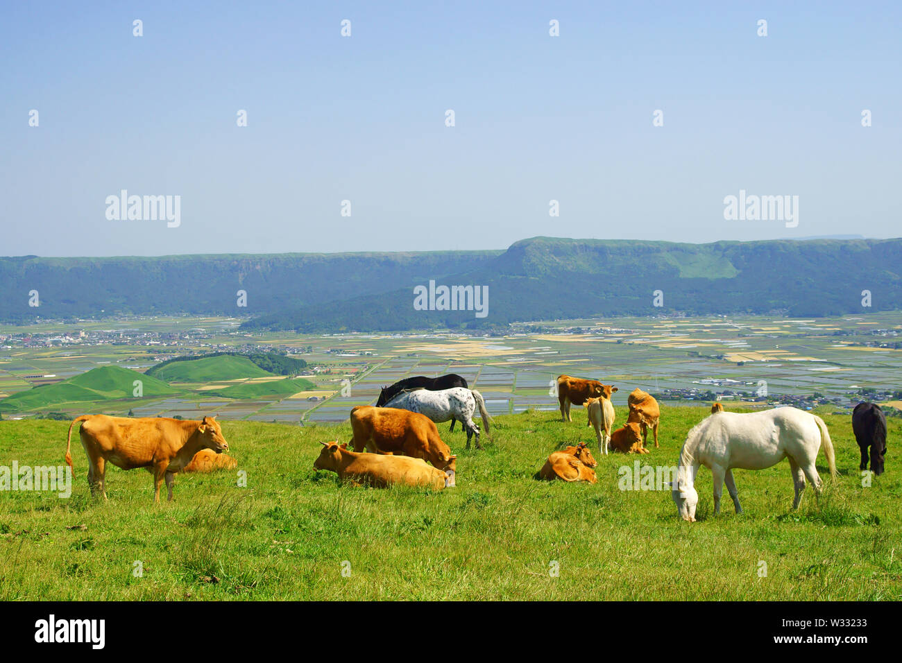 Ranch in Aso, Kumamoto Prefecture, Japan Stock Photo - Alamy