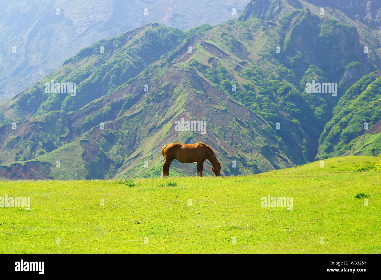 Ranch in Aso, Kumamoto Prefecture, Japan Stock Photo - Alamy