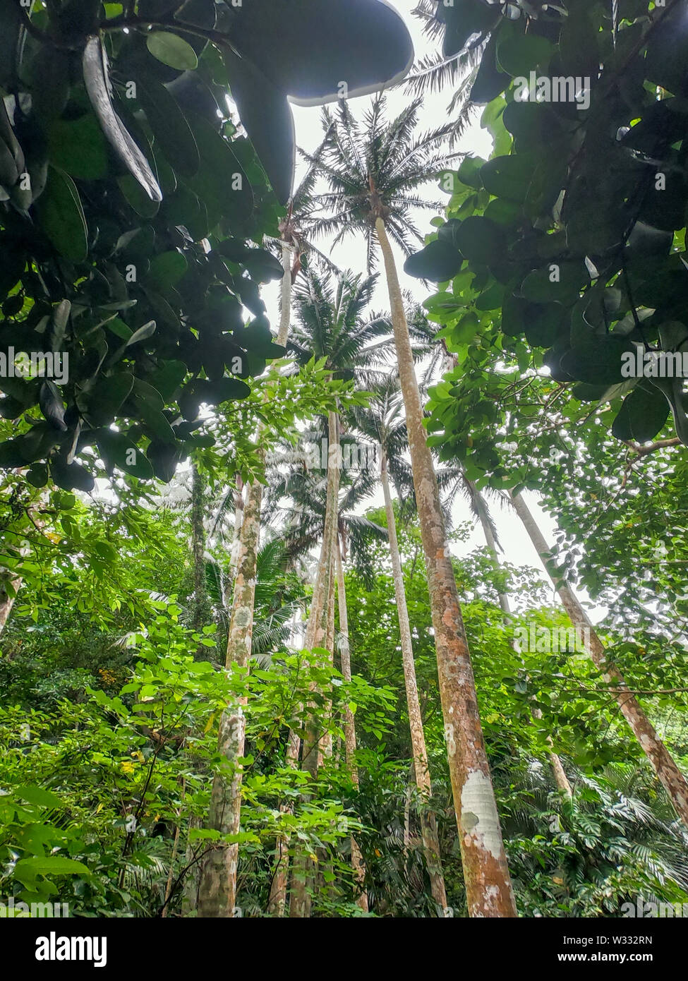 Maibara hi-res stock photography and images - Alamy