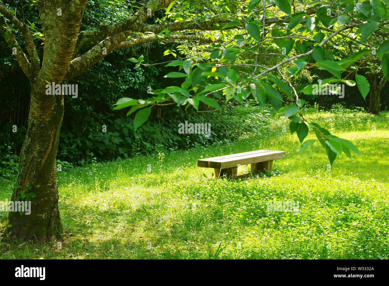 Park in fresh green Stock Photo - Alamy