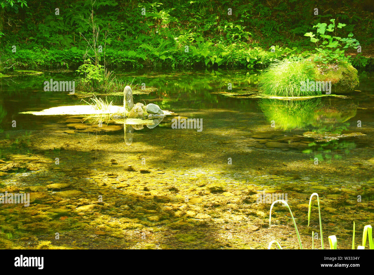 Fresh green in Source of Yamabuki, Kumamoto Prefecture, Japan Stock ...