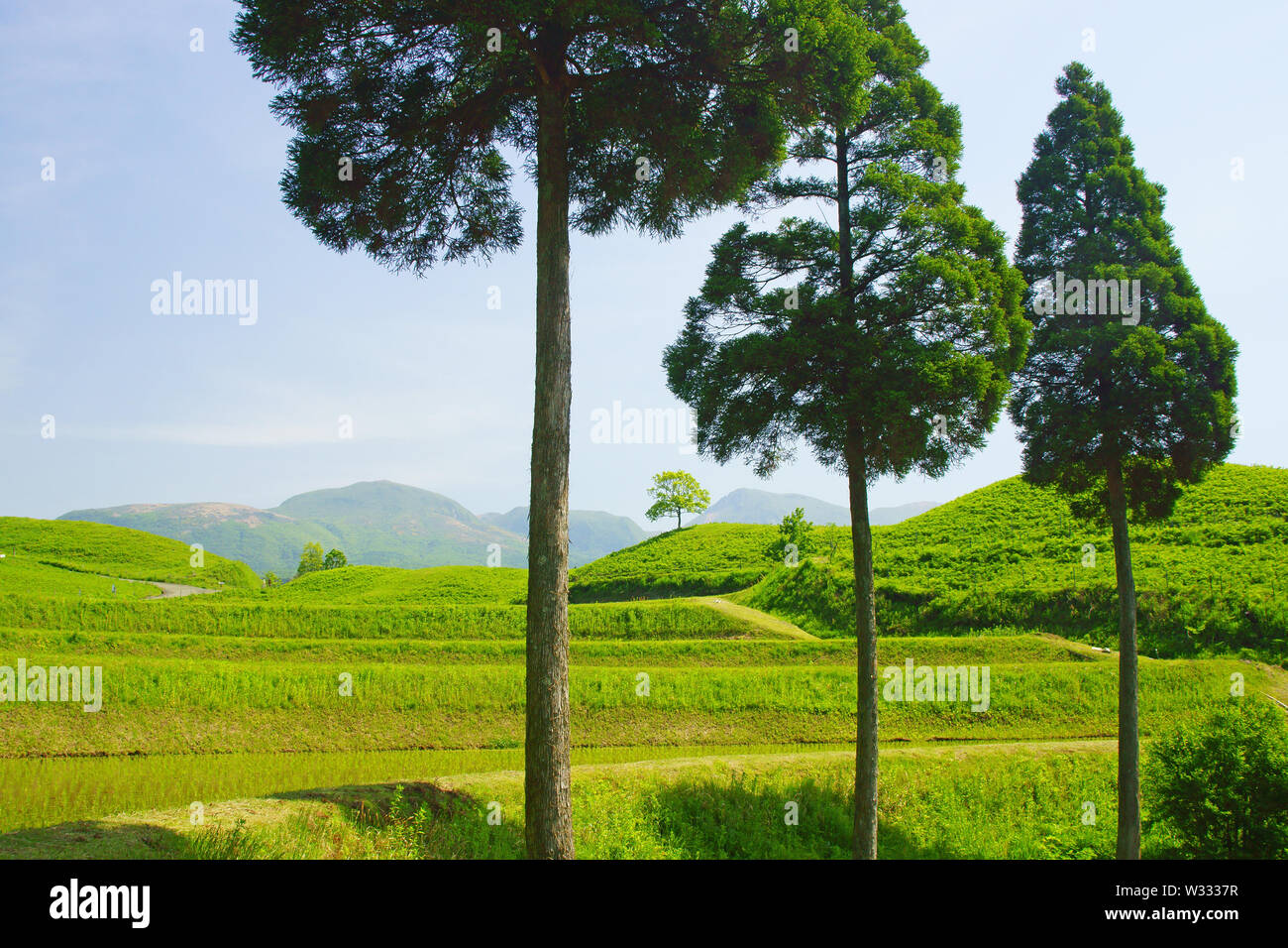 Ogi Rice Terraces, Kumamoto Prefecture, Japan Stock Photo - Alamy