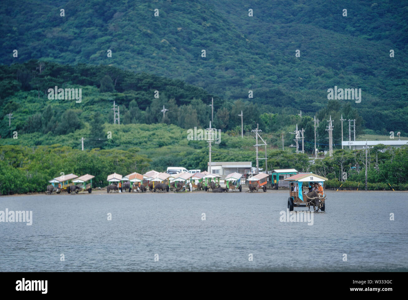 Water buffalo carriage taketomi hi-res stock photography and images - Alamy