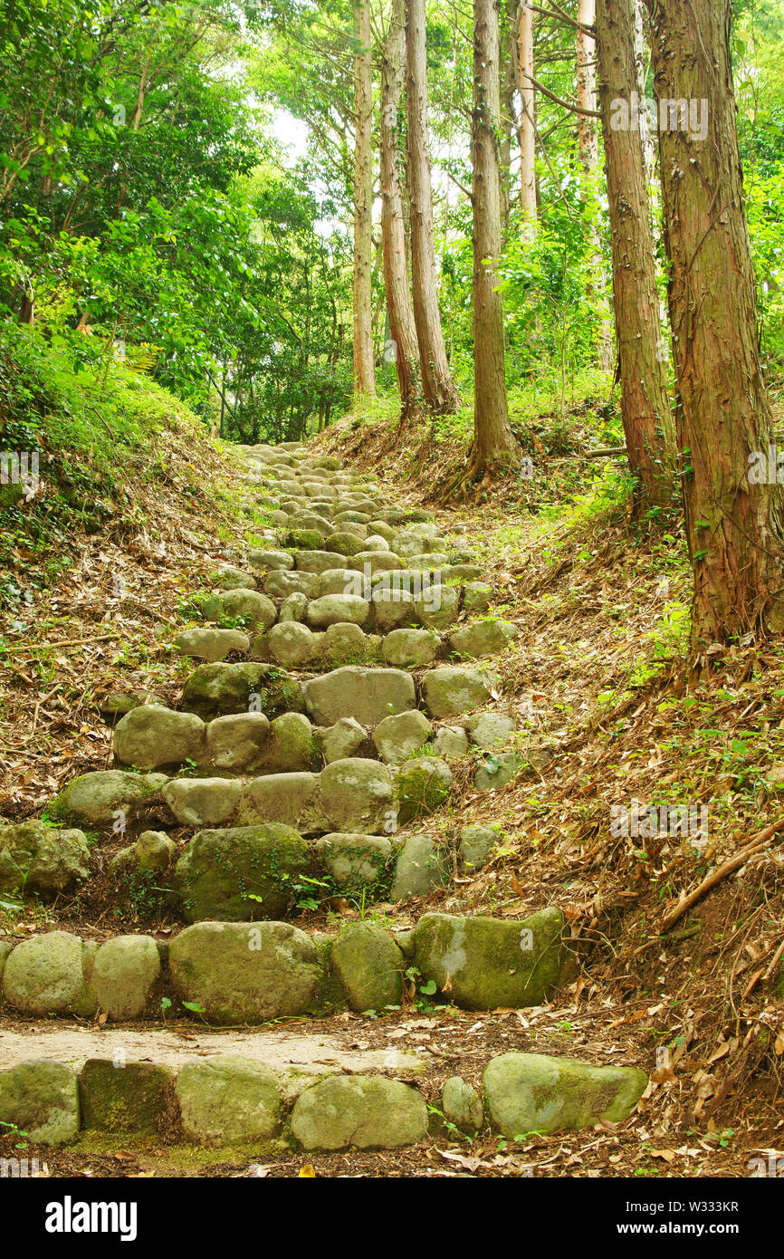 Tashinobusho hi-res stock photography and images - Alamy